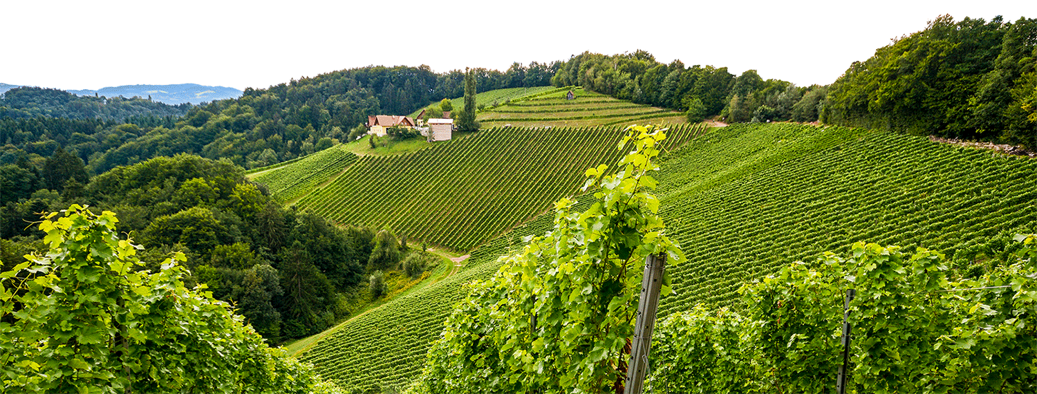 austria-bg-7 – Mack & Schuhle